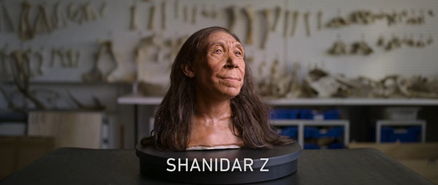 Secrets of the Neanderthals Review: History of the Other Us